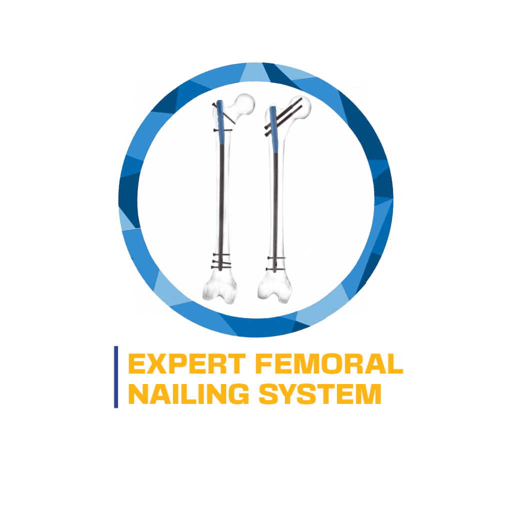 Expert Femoral Nailing System Archives - Orthopedic SS